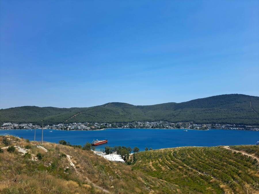 Troubleshooting Smart Camera Live View Buffering on Your Phone - iPro+ 知識酷